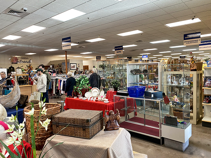 Not your grandmother's jumbled thrift store&mdash;organized departments and clear signage make treasure hunting less archaeological dig, more joyful discovery.