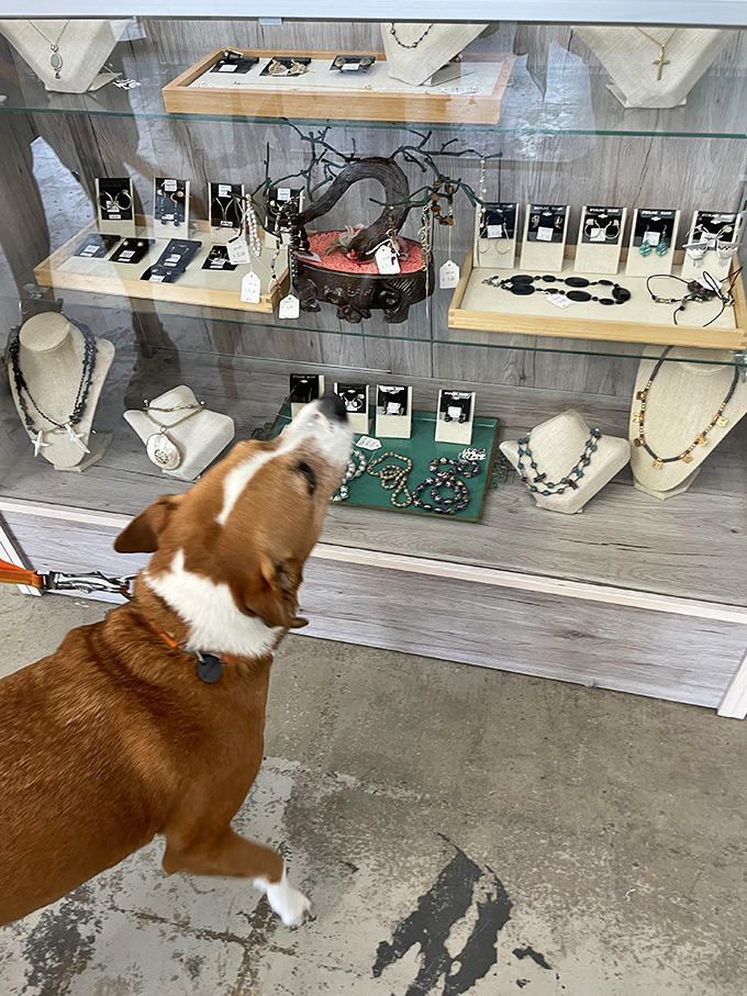 Even four-legged shoppers appreciate the fine jewelry selection. This pup knows the difference between costume and quality—he's got expensive taste!