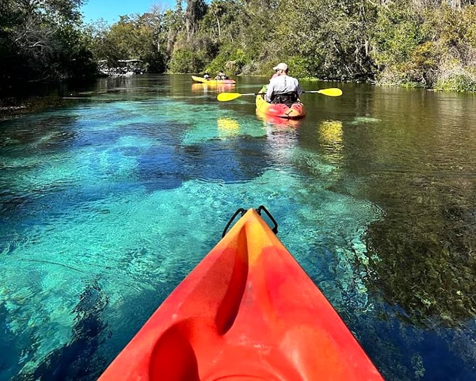 Paddling through liquid crystal, where every fish, turtle, and underwater detail is on full display. It's like kayaking through nature's own high-definition screen.
