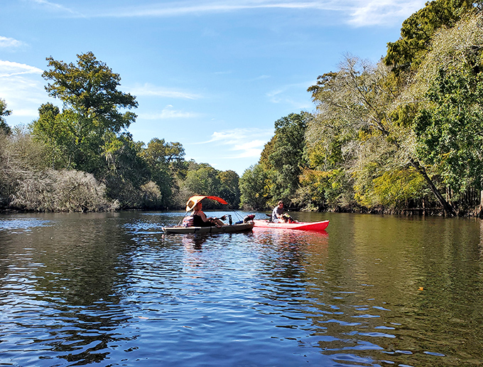 Paddling the Santa Fe River feels like gliding through a living postcard. No Instagram filter required for this natural beauty.