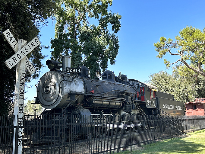This magnificent Southern Pacific locomotive at the Kern County Museum stands as a steel testament to Bakersfield's railroad heritage. All aboard the history express!