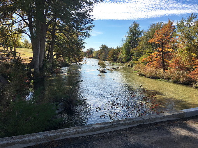 The Guadalupe River in autumn glory—where cypress trees dress in their seasonal best and the water moves with no particular agenda.