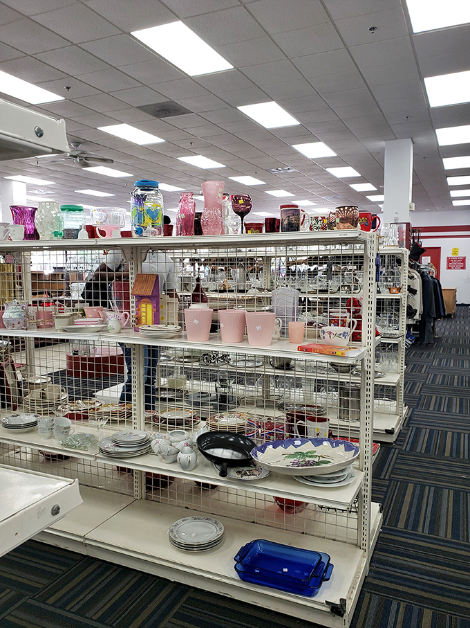 Glassware heaven! From mid-century pink depression glass to yesterday's IKEA finds, these shelves hold the ghosts of thousands of dinner parties past.