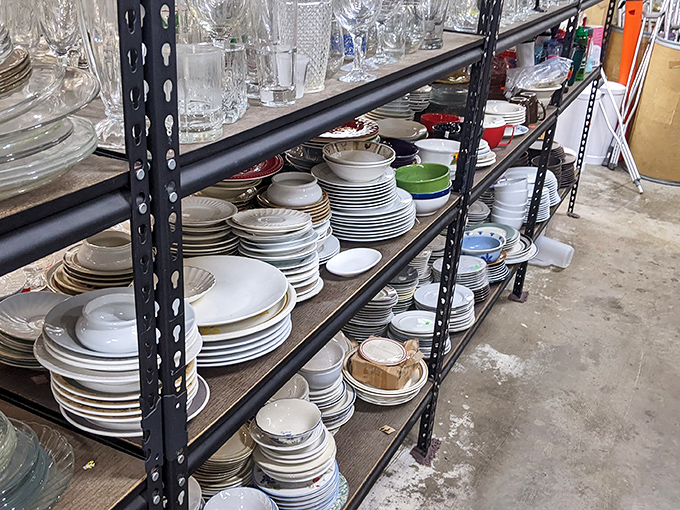 Dish paradise! More plates than an all-you-can-eat buffet and enough variety to make your mismatched collection suddenly look intentionally eclectic.