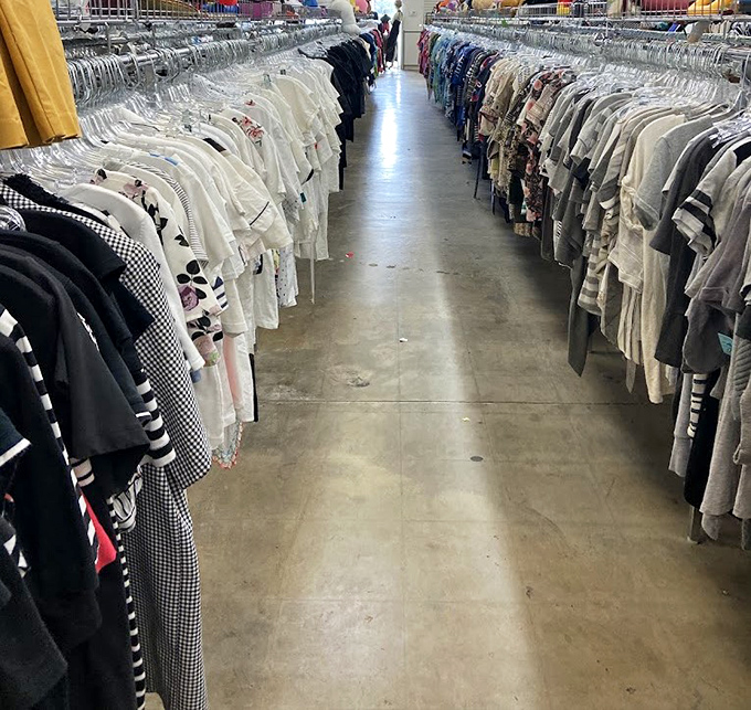 White shirts, black pants, patterned blouses&mdash;organized chaos that makes finding your size an archaeological expedition worth undertaking.