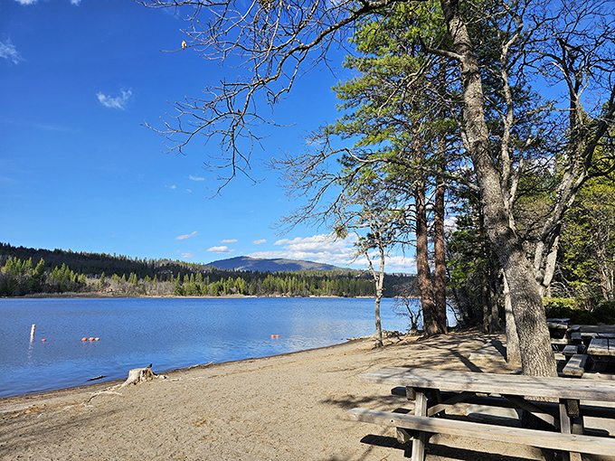 Lake Britton offers tranquil waters where your biggest decision is fishing or simply floating.