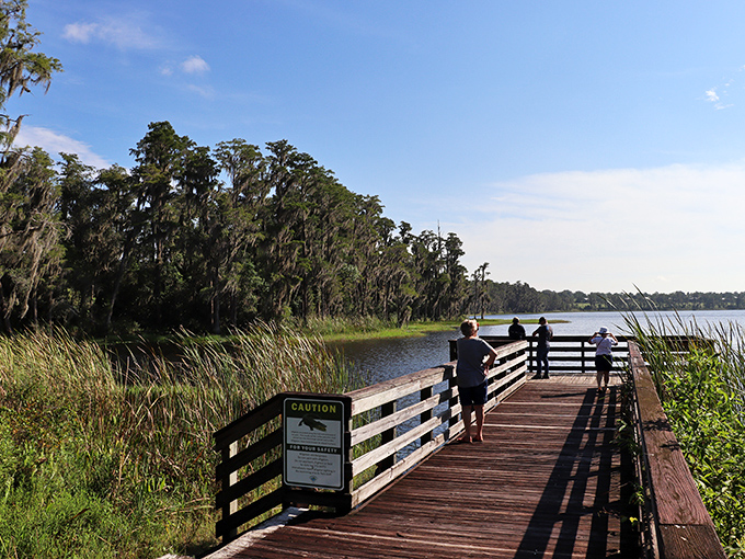 Nature's observation deck. This wooden walkway invites visitors to pause and appreciate Florida's wild side from a safe distance.