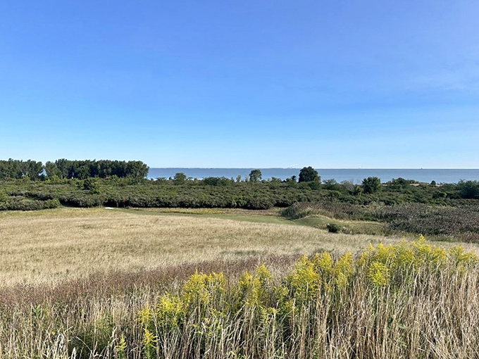 Prairie meets shoreline in this stunning ecosystem mosaic, where wildflowers and wetlands create a buffer between everyday life and lake tranquility.