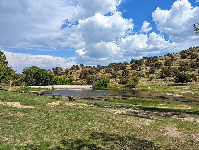 Where community happens in Sierra Vista &ndash; this modern pavilion hosts everything from farmers markets to concerts, all with mountain views that upstage the performers.