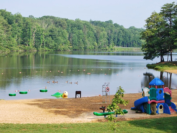 Childhood joy meets wilderness wonder: this lakeside playground proves that sometimes the best entertainment system is simply the great outdoors.