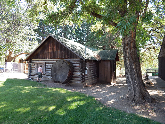 Step back in time at the Lassen Historical Museum, where this authentic log cabin whispers stories of pioneer days without the hardships those pioneers actually endured.