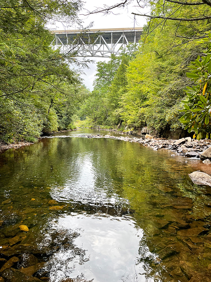 The Lehigh River cuts through the park like nature's highway. That bridge above? Just civilization making a brief, respectful appearance.