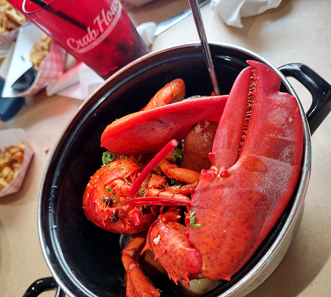 This isn't just a lobster&mdash;it's a crimson celebration in a pot. The kind of dish that demands both a bib and your undivided attention.