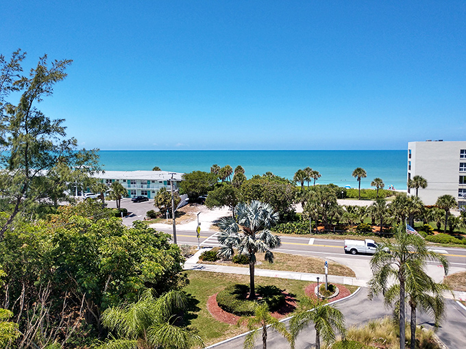 Palm trees and paradise: where the road meets the Gulf and suddenly your blood pressure drops 20 points without medication.