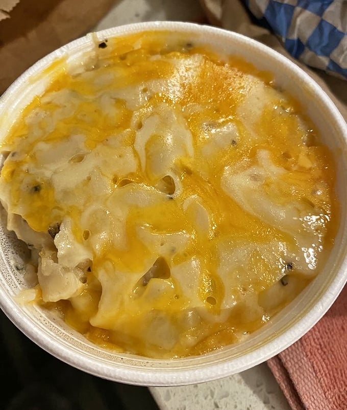 This isn't your boxed mac and cheese - it's creamy, cheesy comfort that makes grown adults smile.