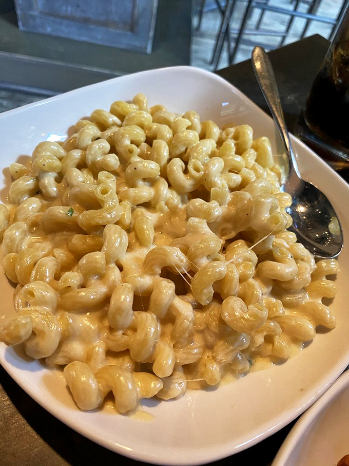 Mac and cheese so creamy it should be illegal in at least seven states. Each spiral of pasta is a vehicle for cheese that doesn't know the meaning of subtlety.