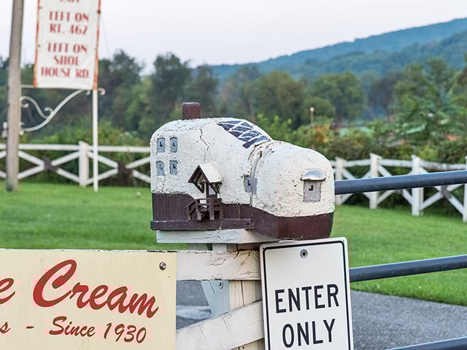 Even the mailbox keeps with the footwear theme! I'm wondering if the mail carrier appreciates the irony of delivering to a shoe when they're on their feet all day.