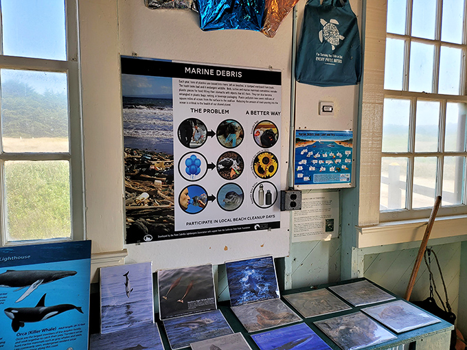 Even marine debris gets the educational treatment here. The ocean's telling its story&mdash;part cautionary tale, part love letter to conservation efforts.