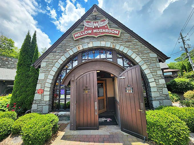 Not your average mushroom experience. The whimsical entrance to Mellow Mushroom promises food with personality in a setting straight from a storybook.