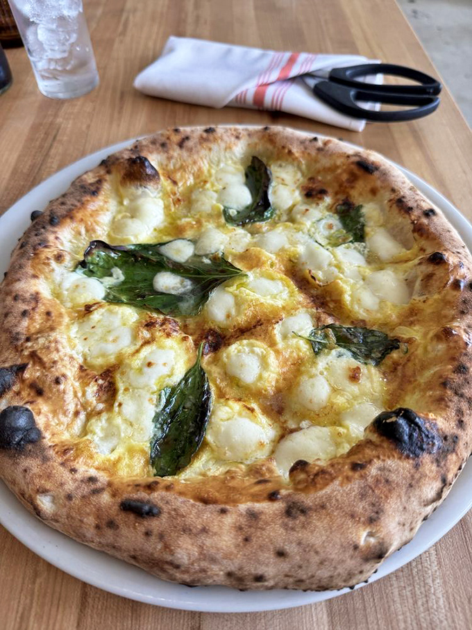 The Bianca pizza showcases the art of restraint—golden bubbles of cheese, verdant basil, and a crust that's the perfect marriage of crisp and chew.
