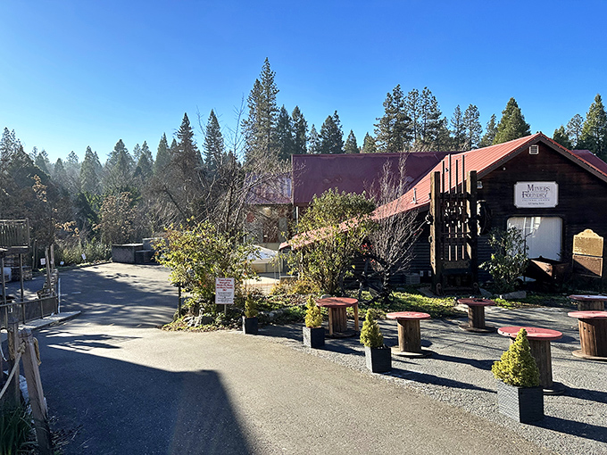 This brick beauty, the Miners Foundry Cultural Center, once forged mining equipment and now hammers out community connections through arts and events.