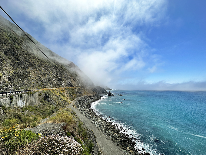 Highway 1—where white-knuckle driving meets breathtaking beauty. This ribbon of road clings to California's edge like nature's ultimate roller coaster ride.