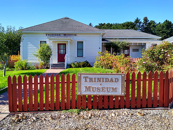 The Trinidad Museum doesn't just preserve history&mdash;it wears it like a comfortable sweater, inviting visitors to slip into stories of coastal California's colorful past.