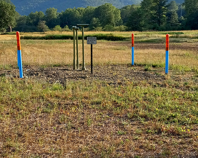 These colorful markers stand sentinel in meadow grass, silent reminders of the park's commitment to conservation and habitat restoration.