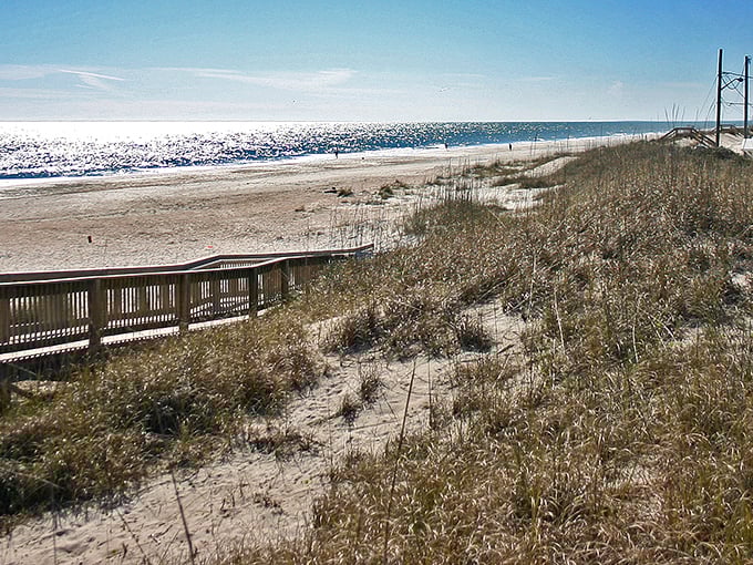 North Beach Park delivers that quintessential Florida beach experience: endless horizon, gentle waves, and the promise that your office emails can't find you here.
