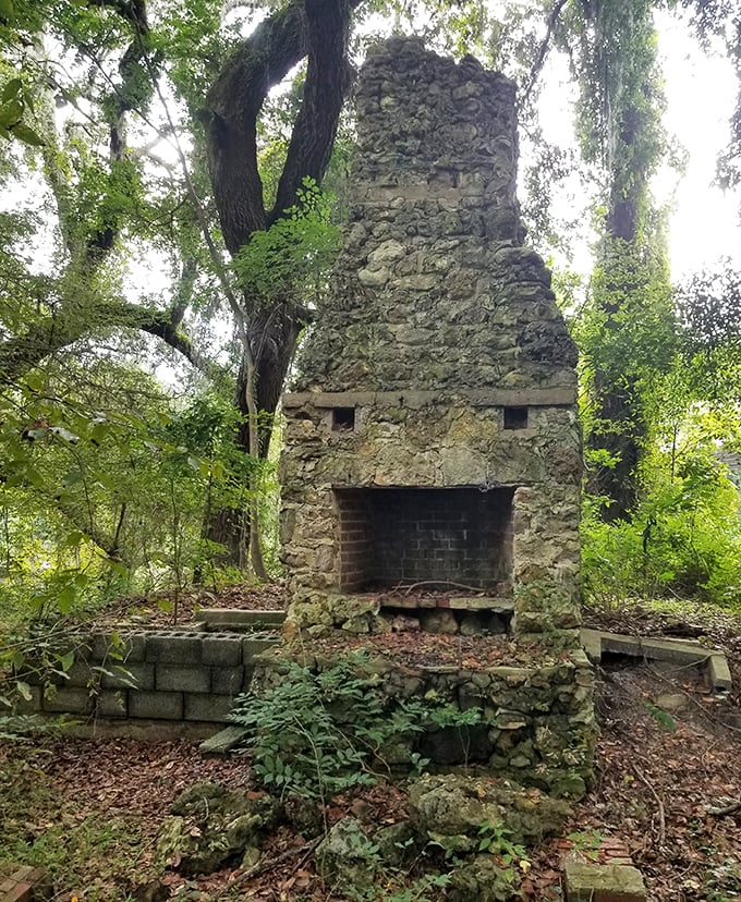 This stone fireplace stands like a stubborn old-timer, refusing to disappear while the home it once warmed has long since vanished.
