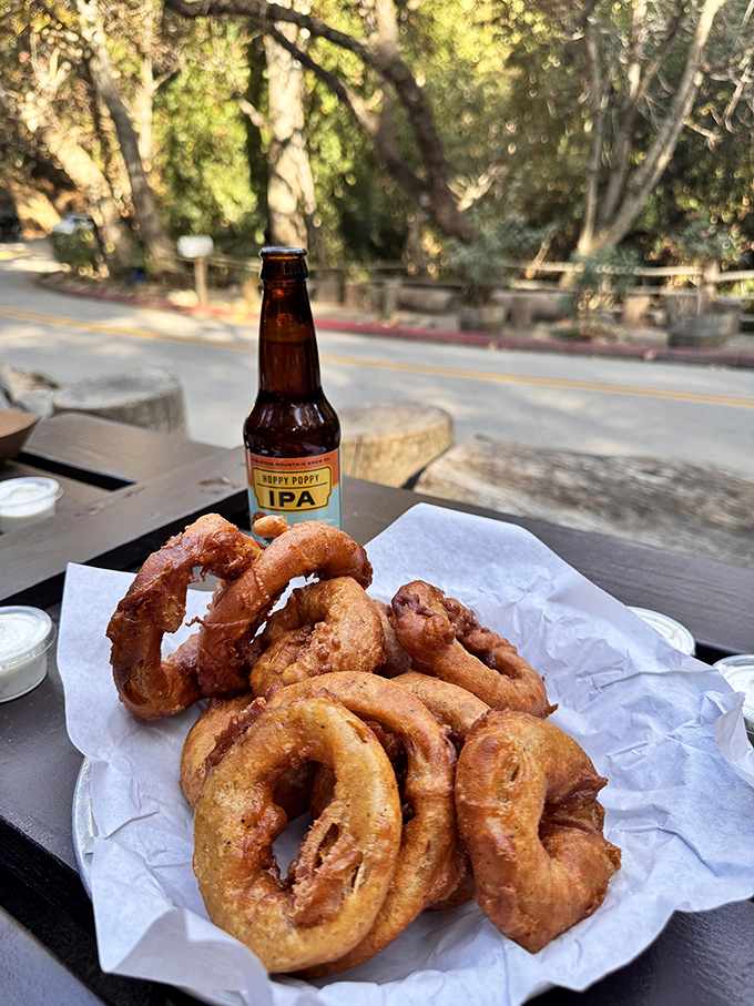 Golden, crispy onion rings and a craft IPA&mdash;proof that happiness doesn't need to be complicated, just perfectly executed.