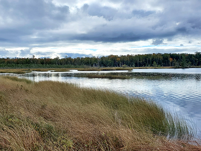 Where prairie meets water in a landscape that whispers, "Slow down, city slicker." The tall grasses dance in the breeze while the lagoon reflects the sky's mood.