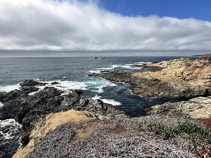 Moody skies meet determined rocks in coastal standoff. Even on overcast days, Garrapata delivers drama worthy of a Hollywood cinematographer.