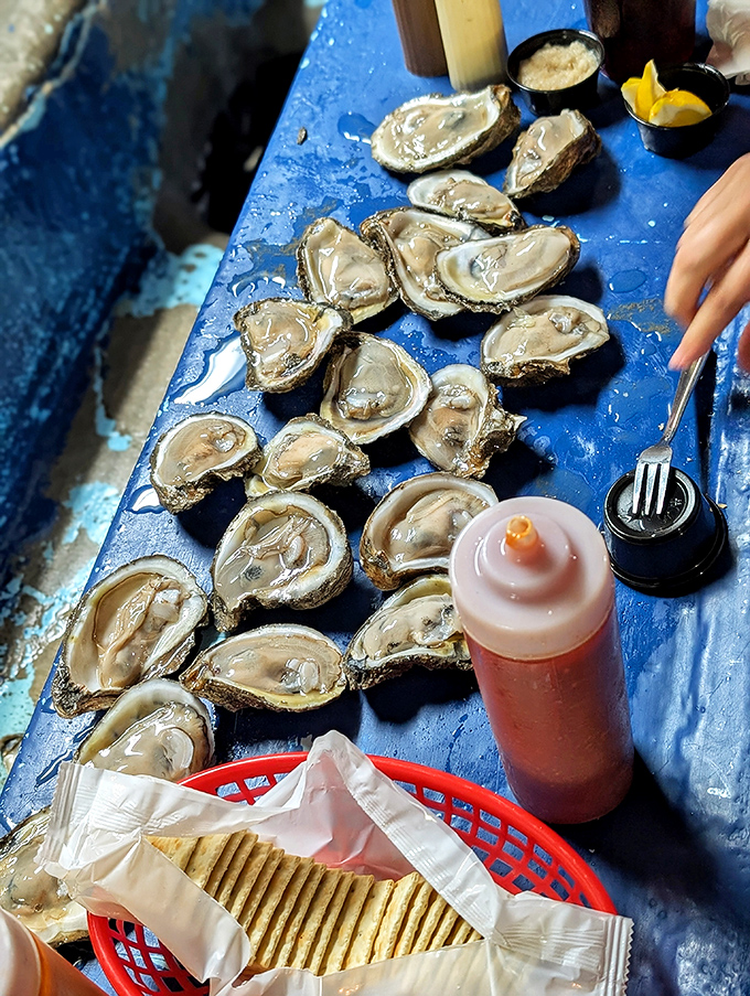 Freshly shucked oysters glisten on their half-shells&mdash;little pools of oceanic perfection waiting for just a squeeze of lemon or dash of hot sauce.