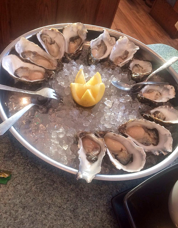 Nature's perfect appetizer: briny, plump oysters on the half-shell, arranged like a clock of deliciousness with lemon standing by for duty.