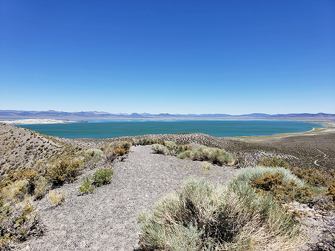 This emerald pool nestled in Panum Crater looks deceptively inviting, but its mineral-rich waters would make for a spa treatment nobody ordered.