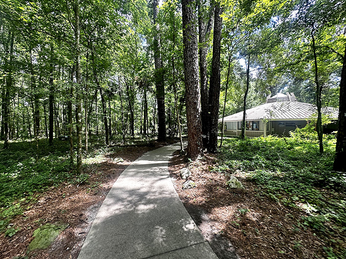 The journey begins on this unassuming path. Like the yellow brick road but with more shade and fewer singing munchkins.