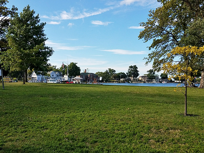 Wide open spaces that whisper "picnic here" with every breeze. The park's grassy expanse offers million-dollar views that somehow remain absolutely free.