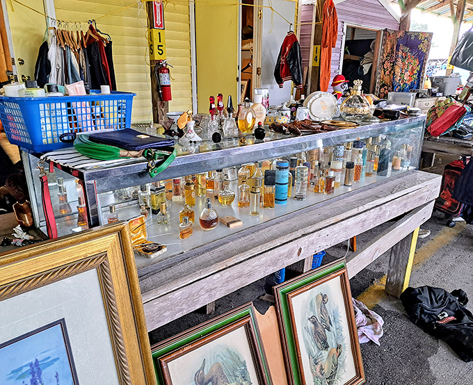 Perfume bottles catching light like liquid jewels. The fragrance may be gone, but the vintage glamour remains eternally bottled.