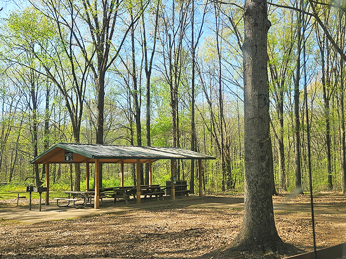 Nature's dining room comes complete with rustic tables and a ceiling of leafy branches. Sandwiches always taste better here.