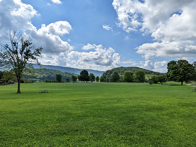 Nature's conference room, where the only agenda is relaxation. This sprawling green space makes office cubicles seem like cruel and unusual punishment.