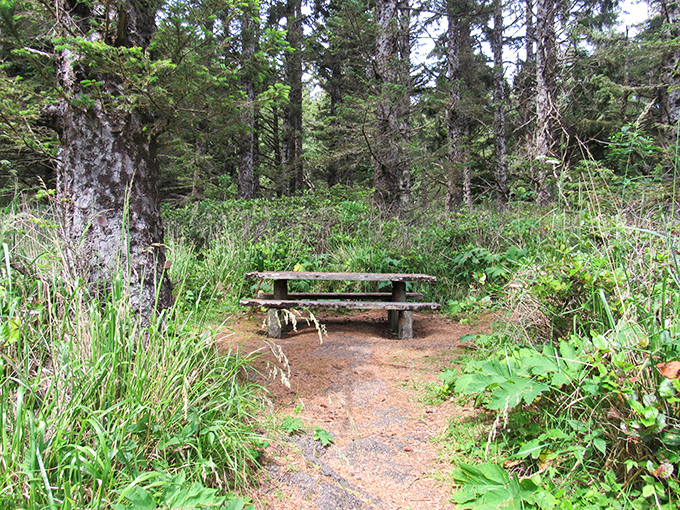 A humble picnic bench that's hosted more meaningful conversations and sandwich unwrappings than most five-star restaurants ever will.