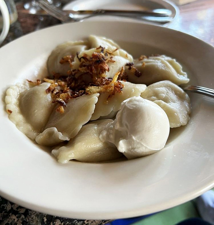These handmade dumplings aren't just food; they're edible art. Each pleat represents centuries of tradition and a grandmother's loving touch.