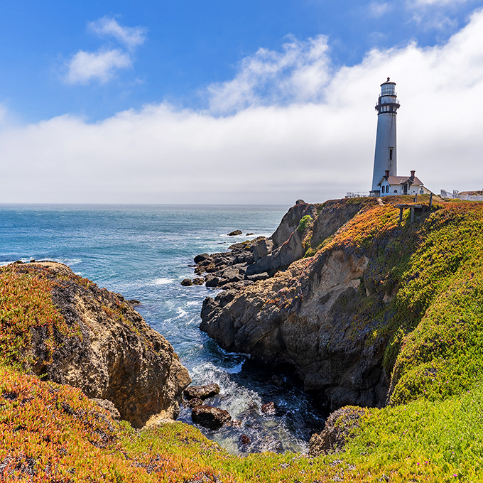 Pigeon Point Lighthouse stands like California's exclamation point, a 115-foot sentinel that's been Instagram-worthy since the 1870s, long before filters existed.
