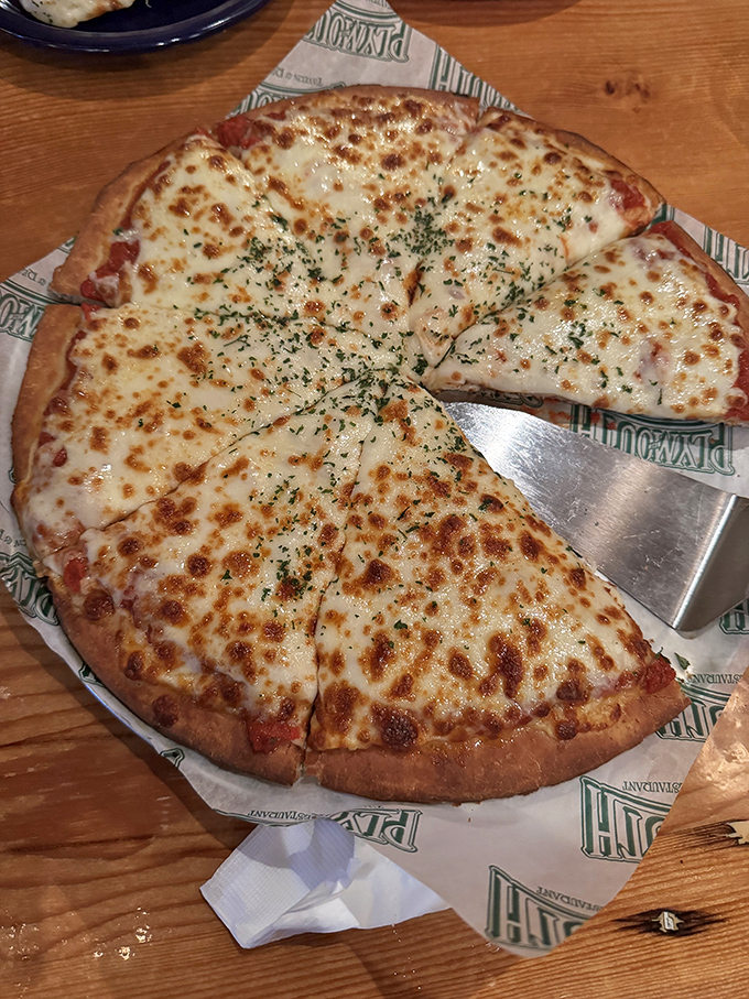 Pizza perfection isn't complicated – just a harmonious marriage of melted cheese, tangy sauce, and a crust that deserves its own fan club.