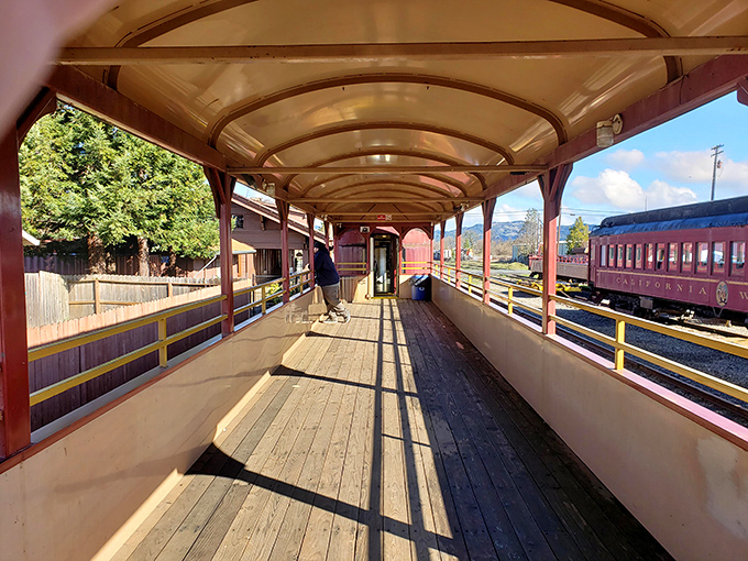 Sunlight dances across this wooden platform, where countless travelers have stood in anticipation before embarking on their redwood forest adventure.