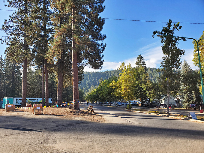 Camping under Quincy's towering pines&mdash;where the Wi-Fi is weak but the connection to nature couldn't be stronger.