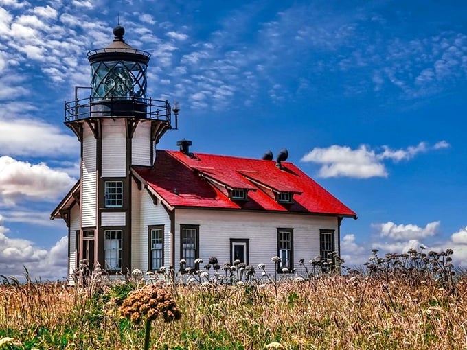 Point Cabrillo Light Station stands sentinel among wildflowers, a reminder of when navigation required more than just asking Siri for directions.
