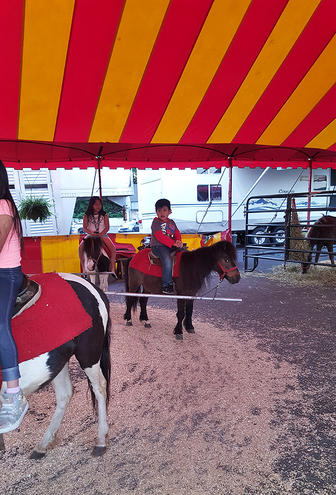 Not just shopping&mdash;it's an event! Pony rides under a circus-bright canopy prove National Wholesale Liquidators knows retail therapy should include actual therapy.