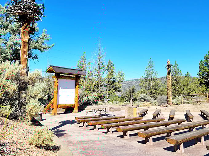 Nature's amphitheater awaits at this rustic outdoor venue, where the only special effects are provided by Oregon's spectacular sunsets and starry nights.